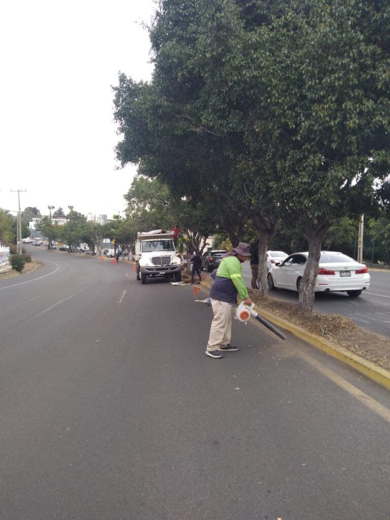 Renovación Verde: Embelleciendo el Periférico Independencia de Morelia ...