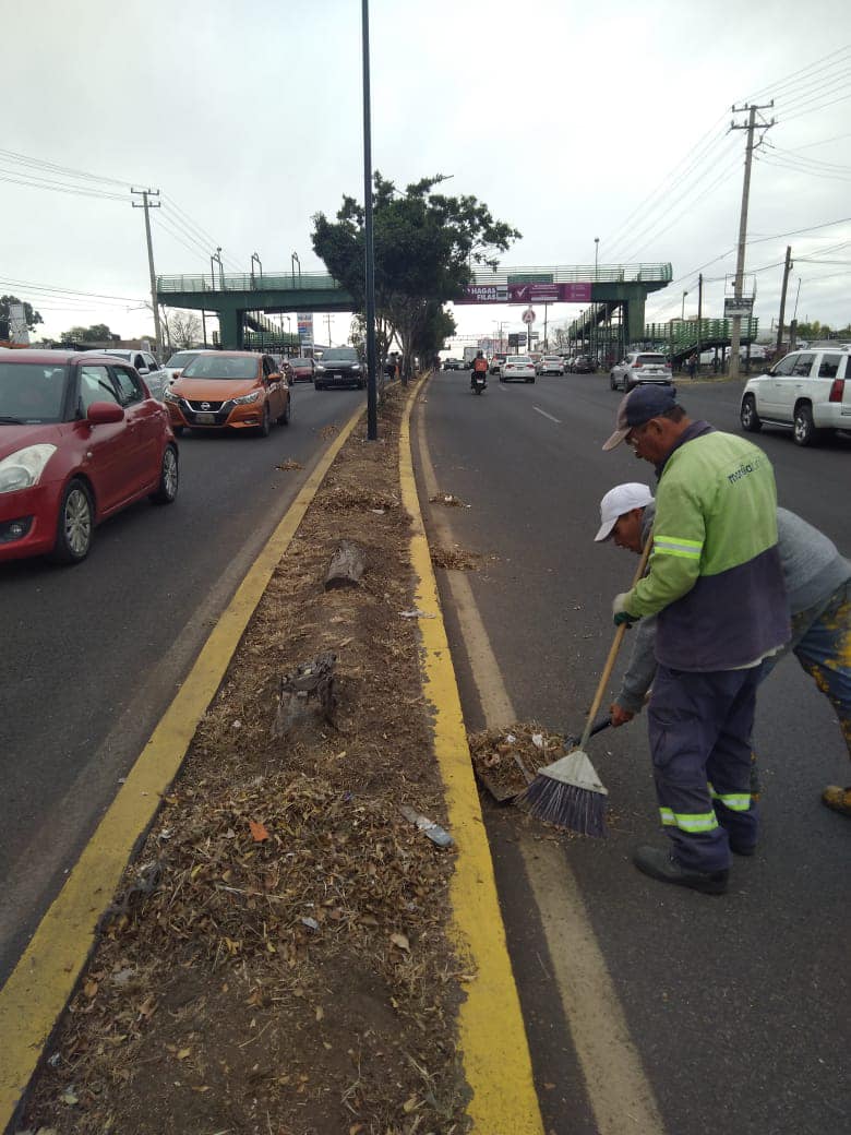 Renovación Verde: Embelleciendo el Periférico Independencia de Morelia ...
