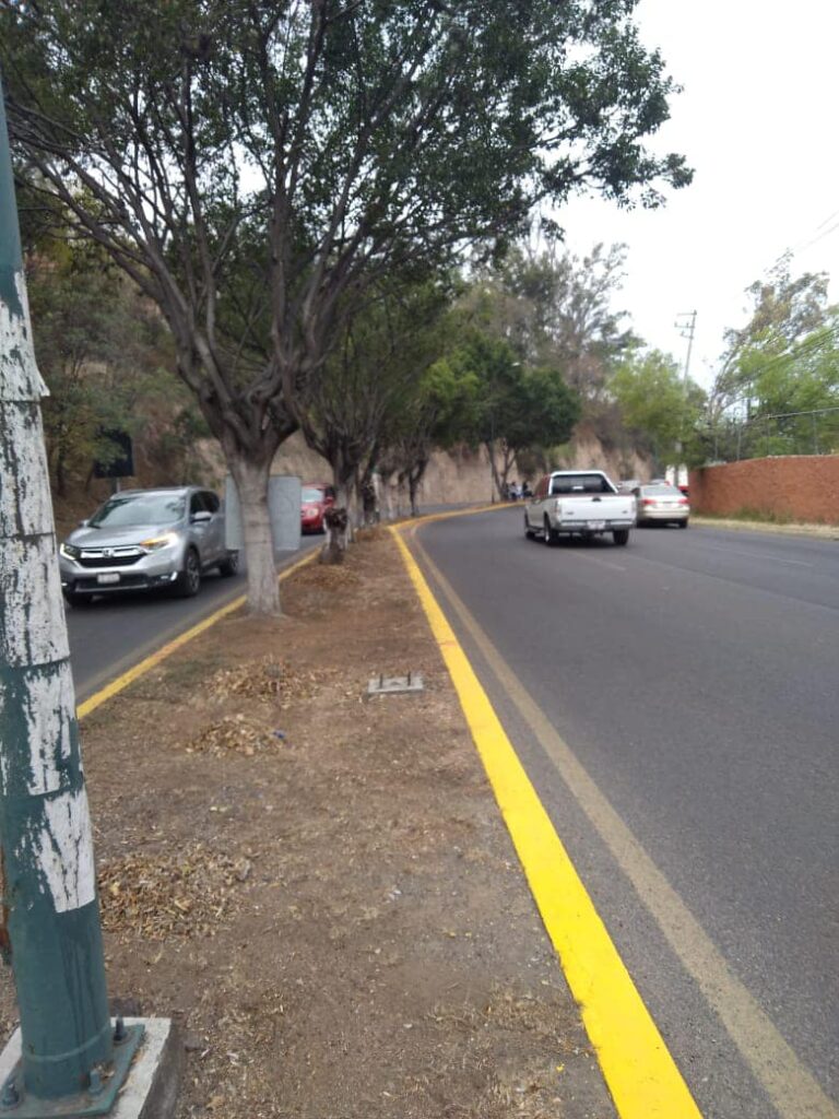 Renovación Verde: Embelleciendo el Periférico Independencia de Morelia ...